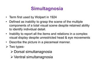 Occipital lobe 2 syndromes nwnw ppt | PPTX