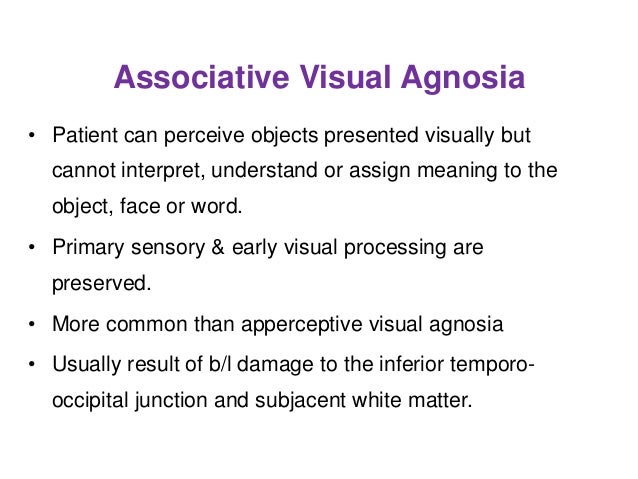 Occipital lobe 2 syndromes nwnw ppt