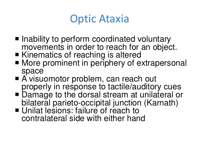 Occipital lobe 2 syndromes nwnw ppt