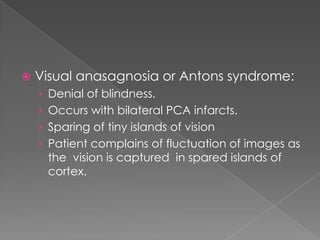 Occipital lobe and clinical effects of its dysfunction | PPTX