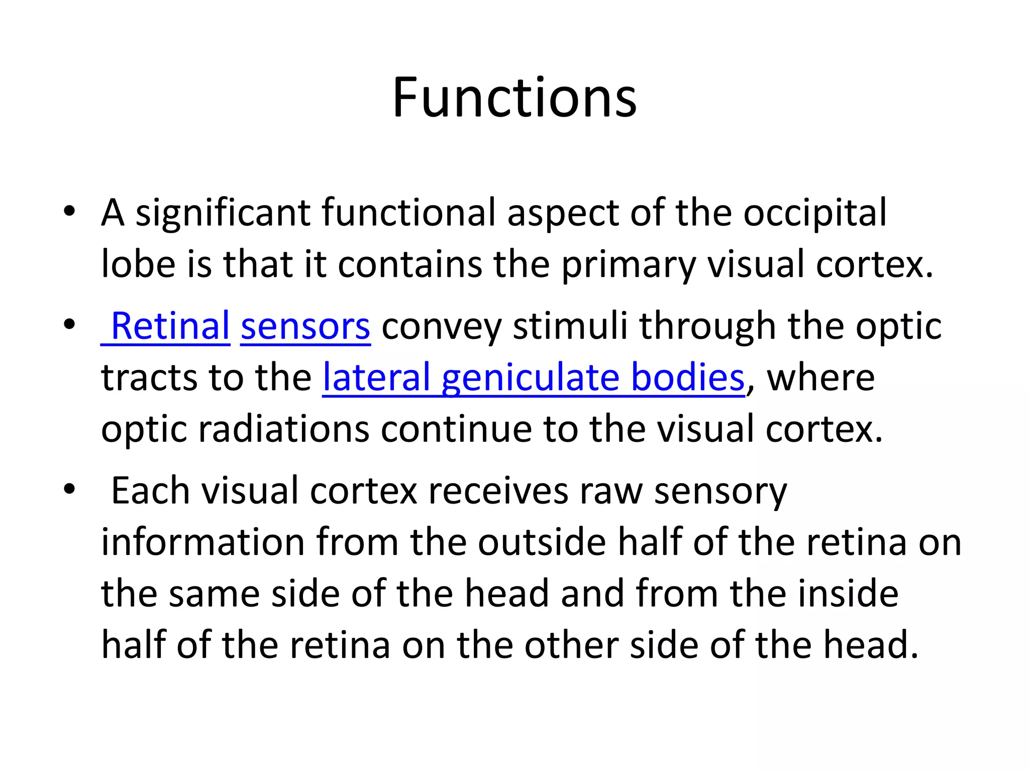 Occipital lobe ppt | PPTX
