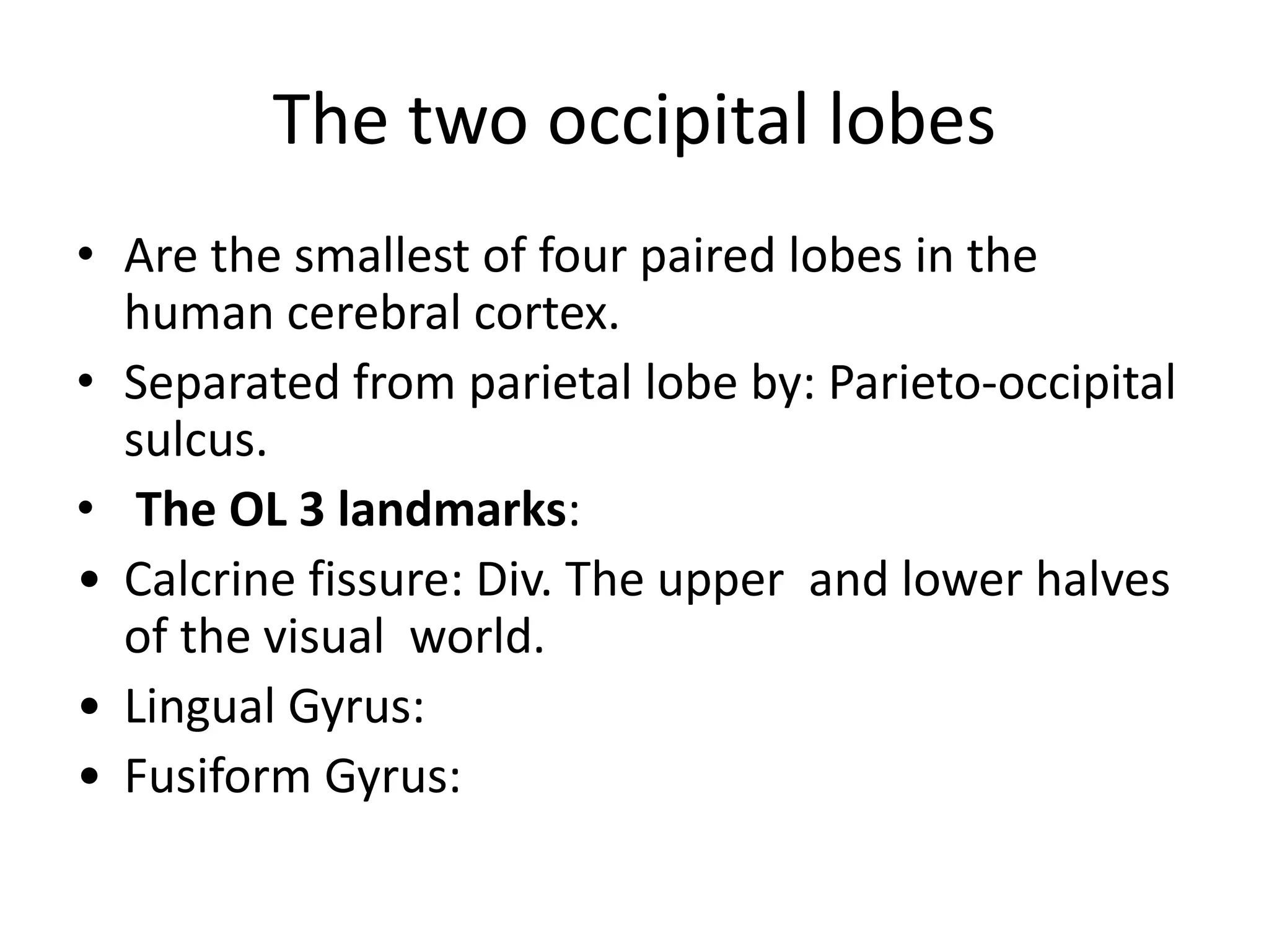 Occipital lobe ppt | PPTX