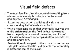 Occipital lobe ppt | PPT
