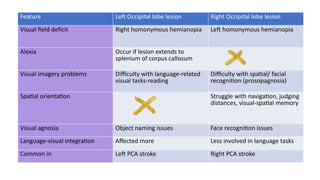 Assessment of Occipital Lobe Dysfunction | PPTX