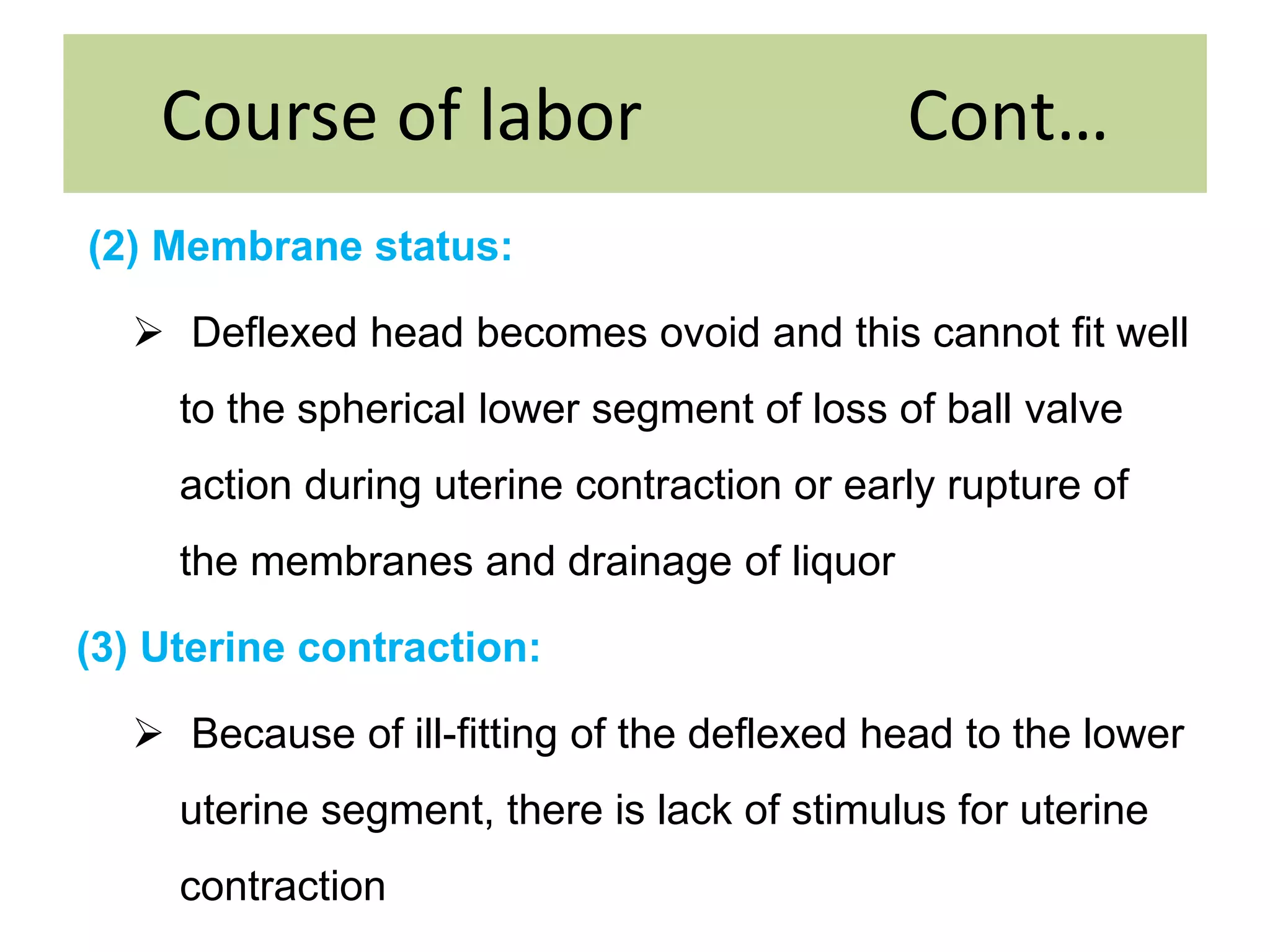 Occipito posterior position | PPTX