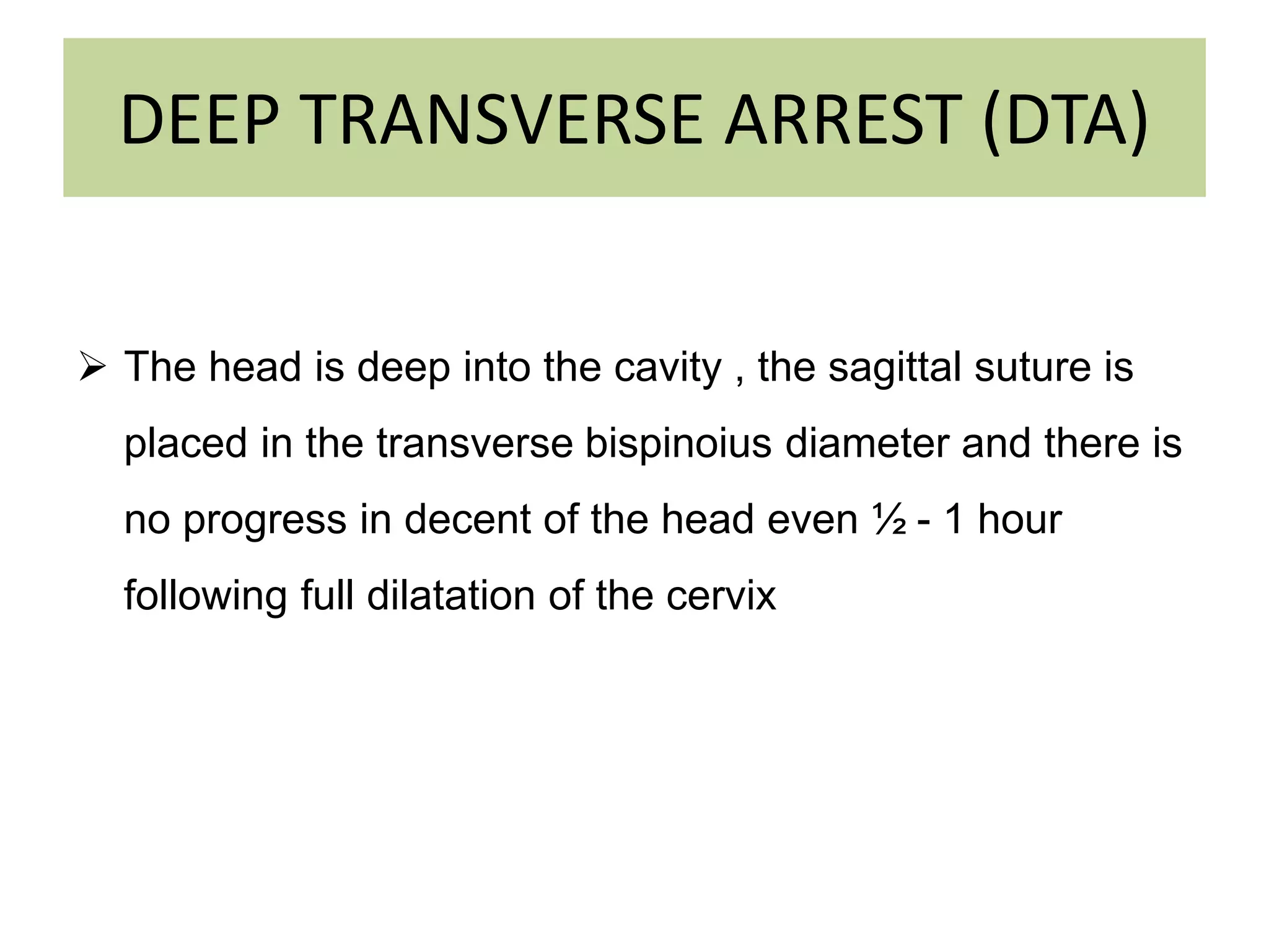 Occipito posterior position | PPTX
