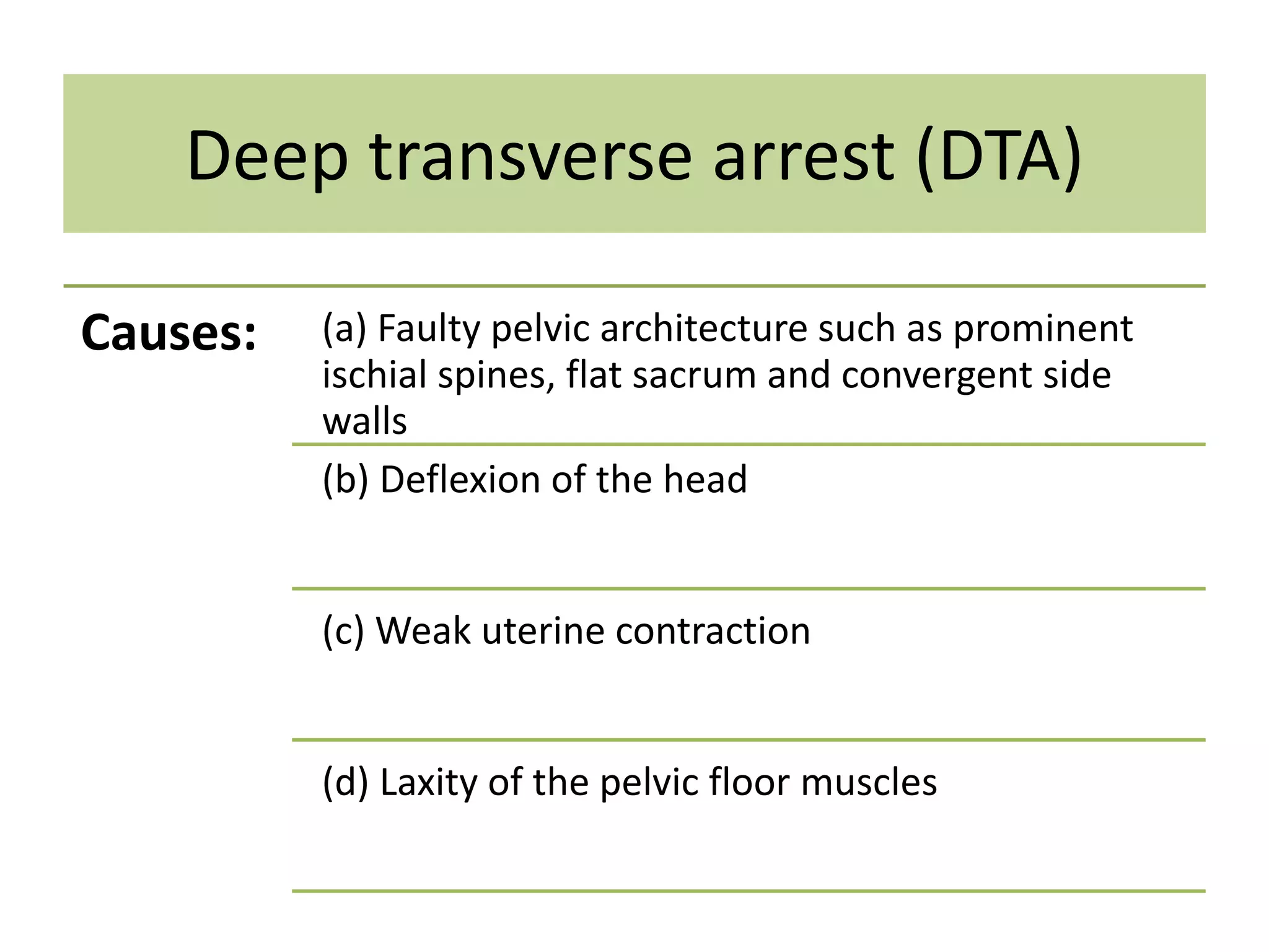 Occipito posterior position | PPTX