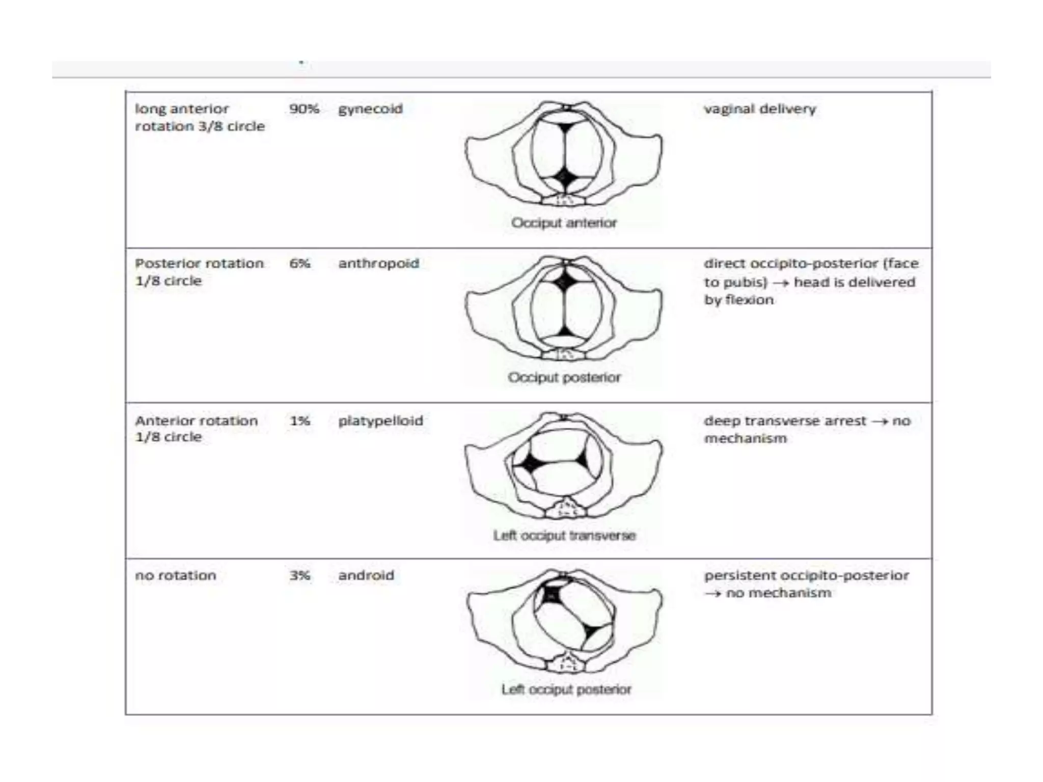 Occipito posterior position | PPTX