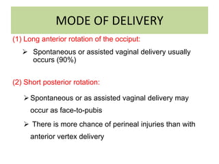 Occipito posterior position | PPTX