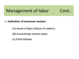 Occipito posterior position | PPTX