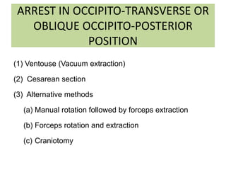 Occipito posterior position | PPTX
