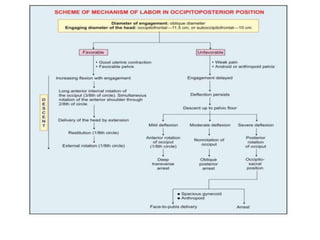 Occipito posterior position | PPTX