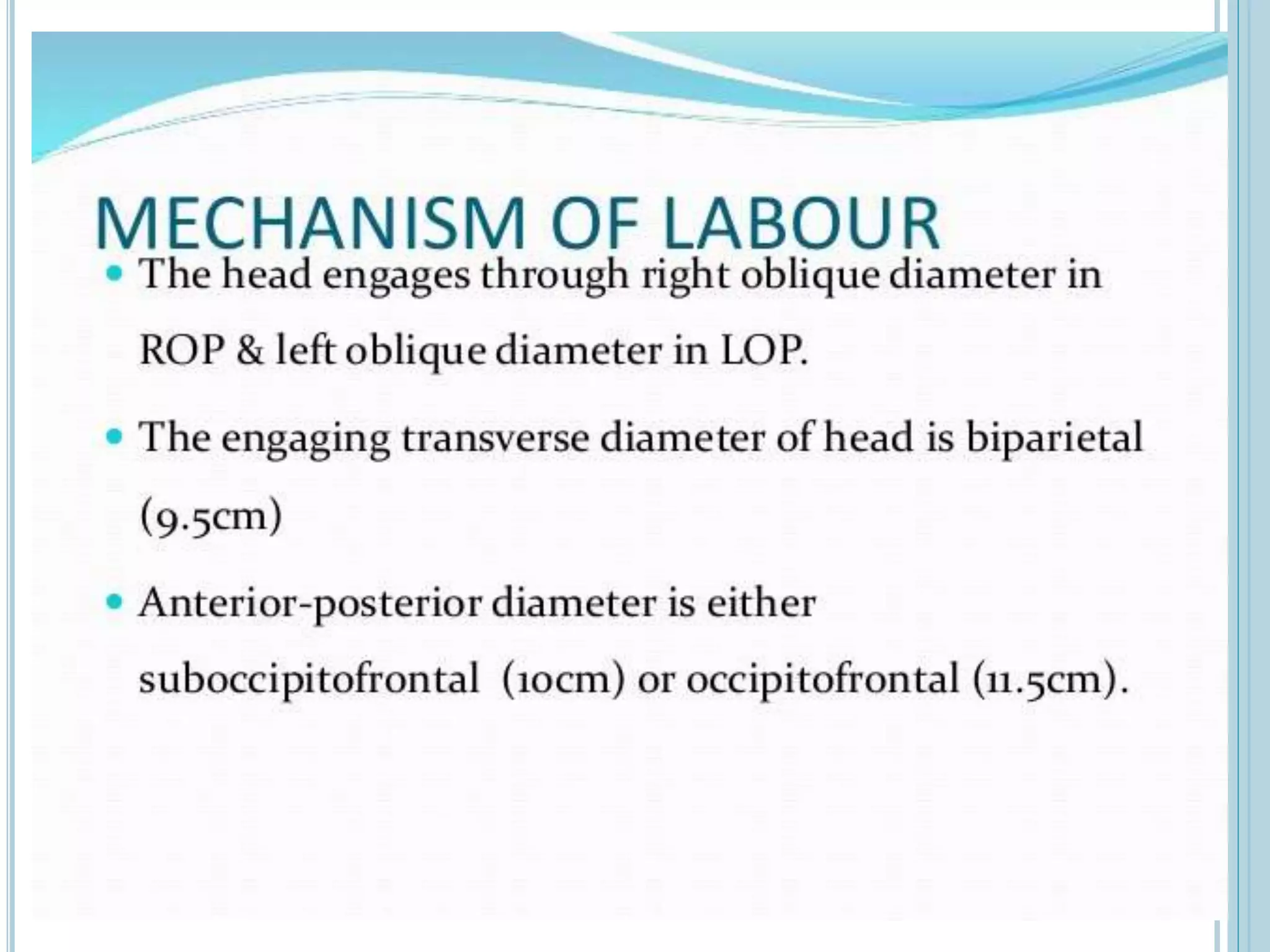 Occipito posterior position | PPT