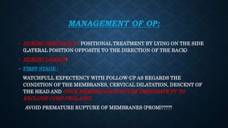 occipito posterior and shoulder presentation.pptx