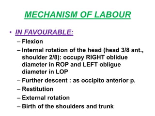 Occipito posterior position | PPT