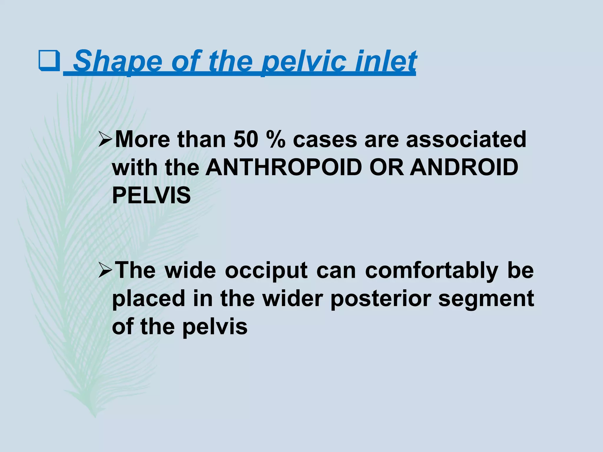 Occipito posterior position | PPTX