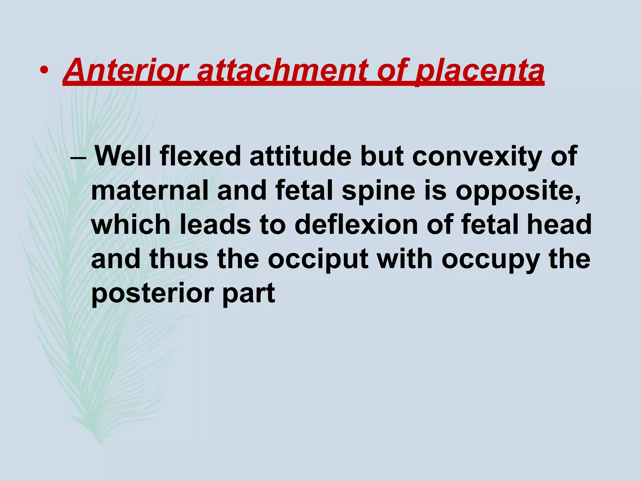 Occipito posterior position | PPTX