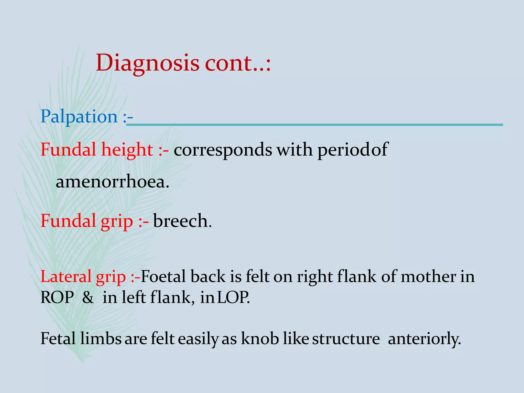 Occipito posterior position | PPTX