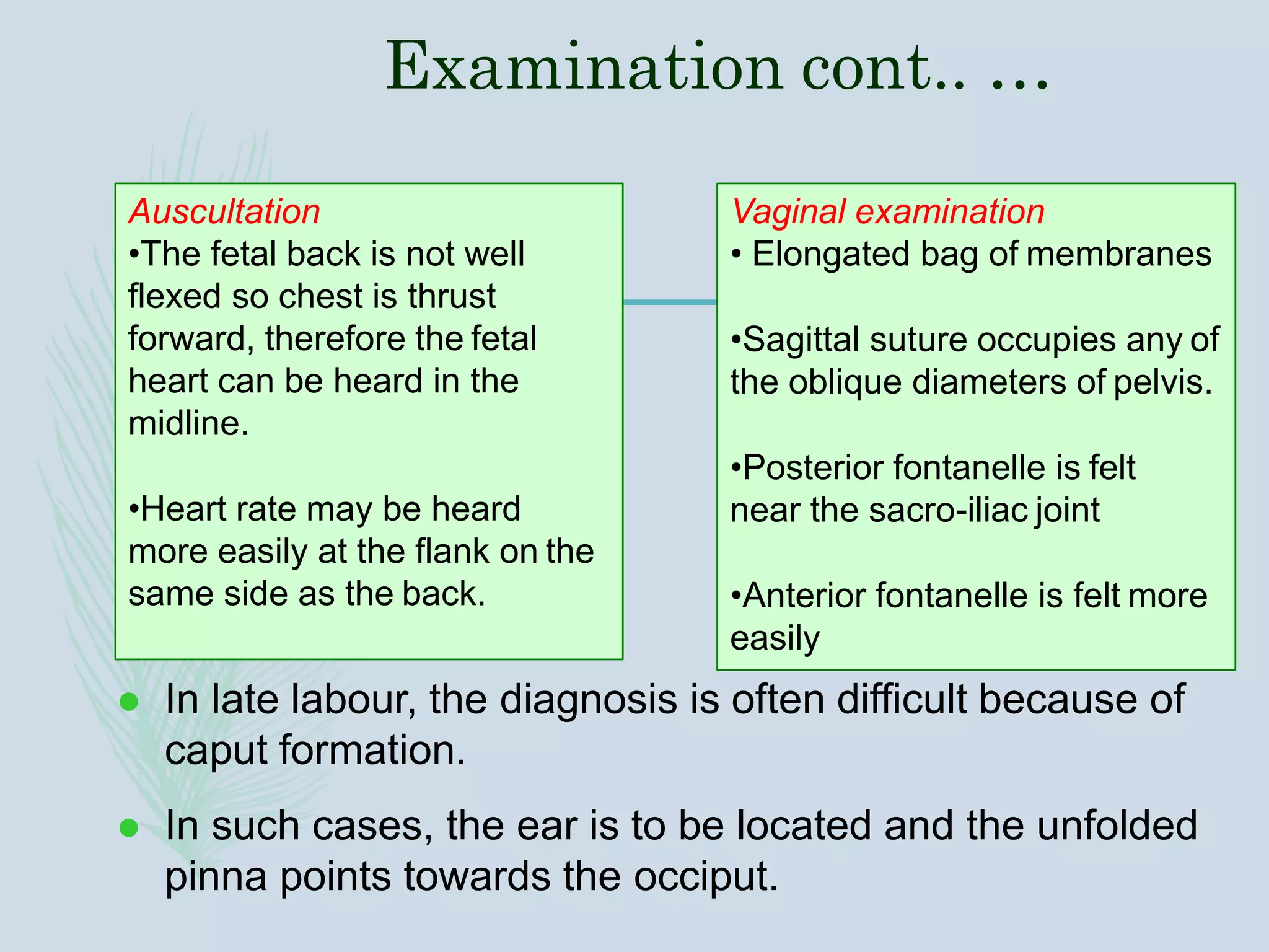 Occipito posterior position | PPTX