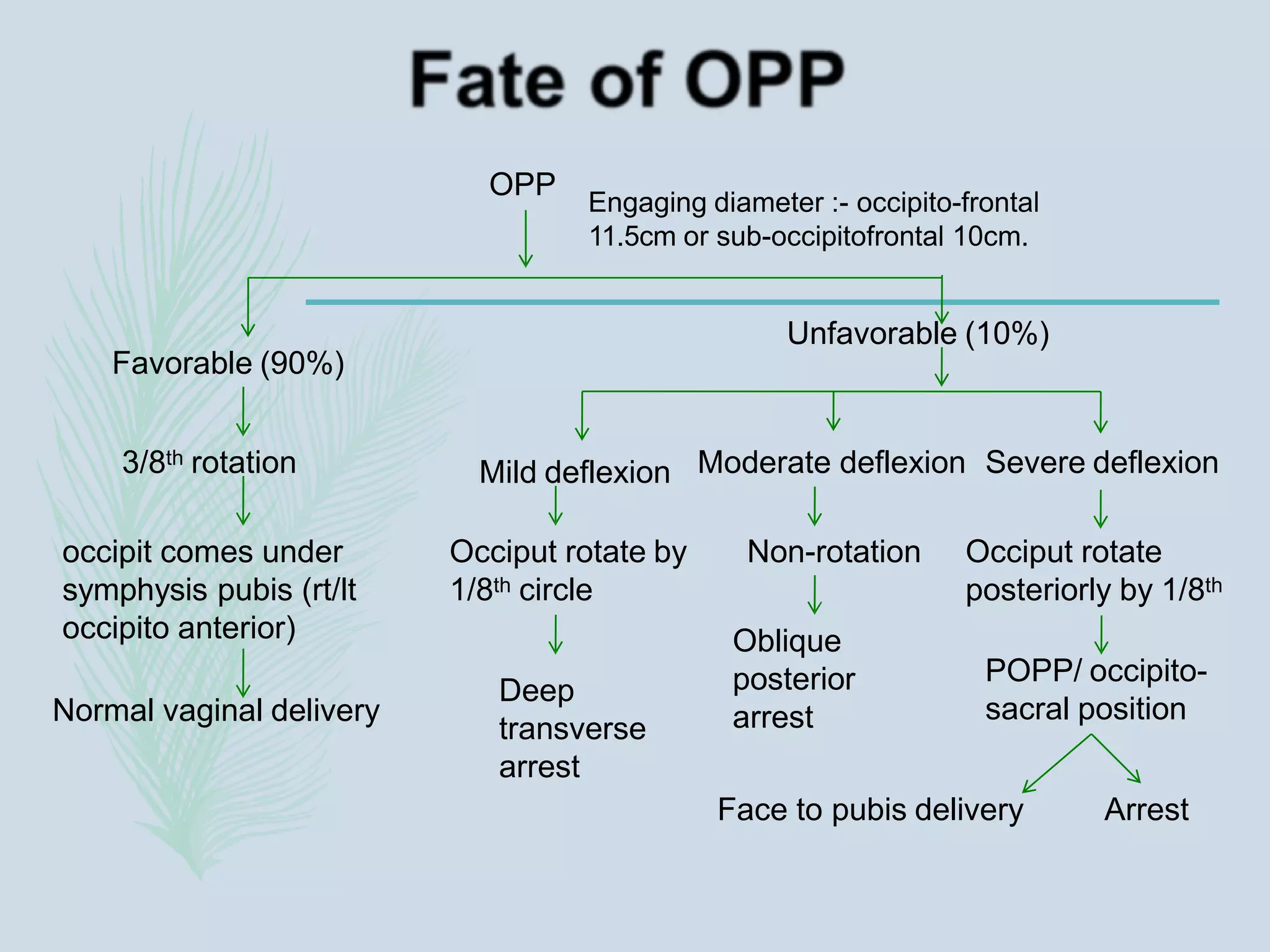 Occipito posterior position | PPTX