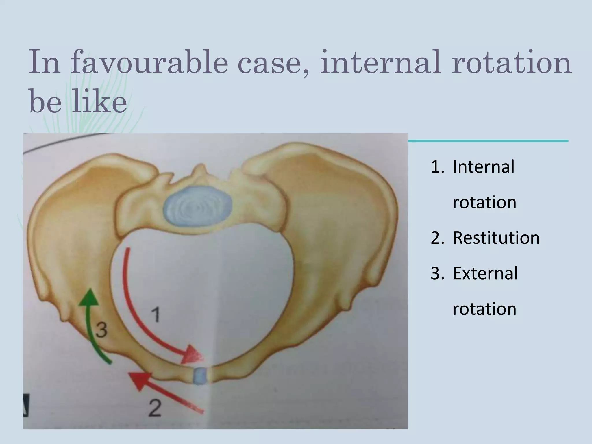 Occipito posterior position | PPTX
