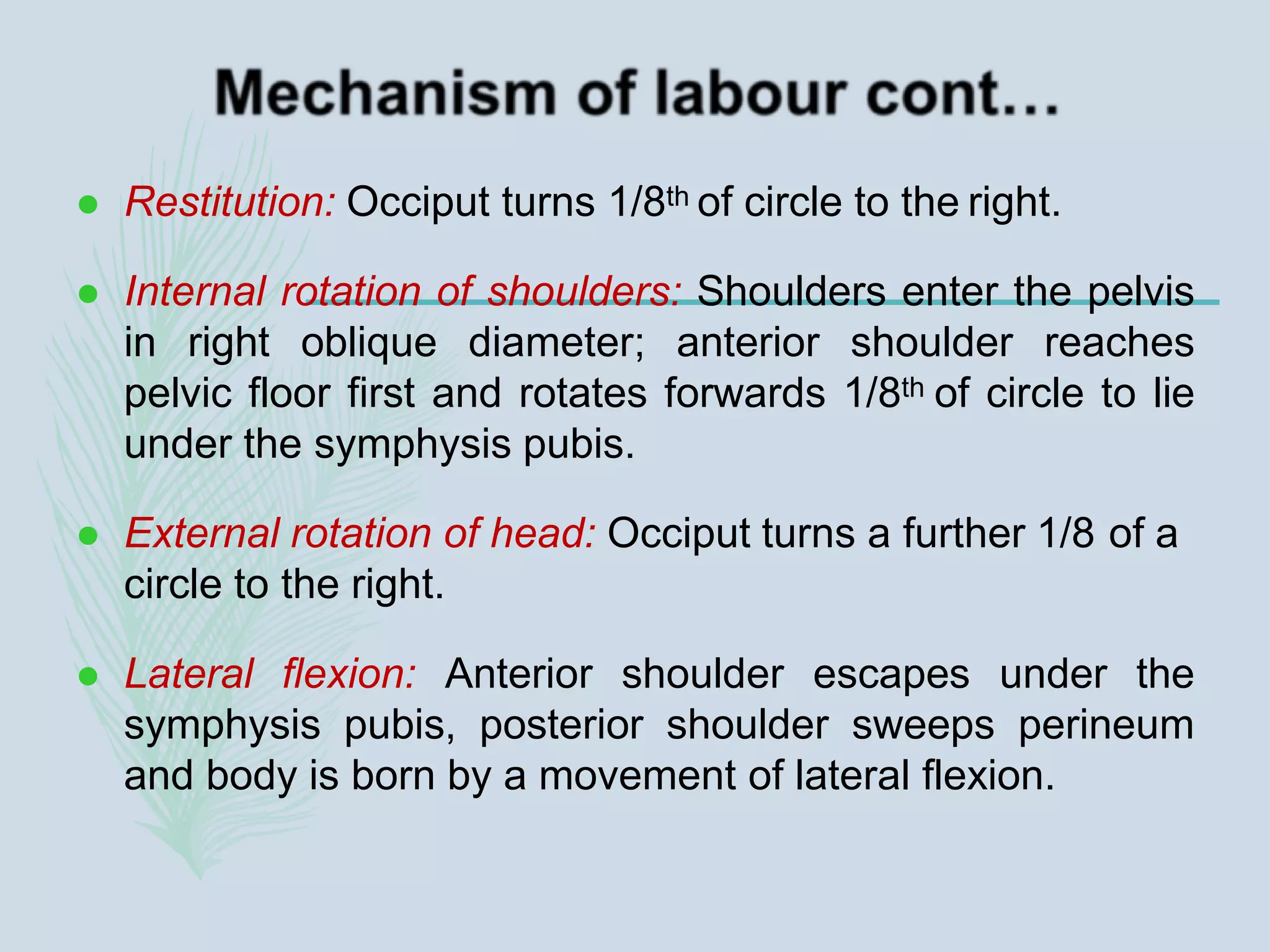 Occipito posterior position | PPTX