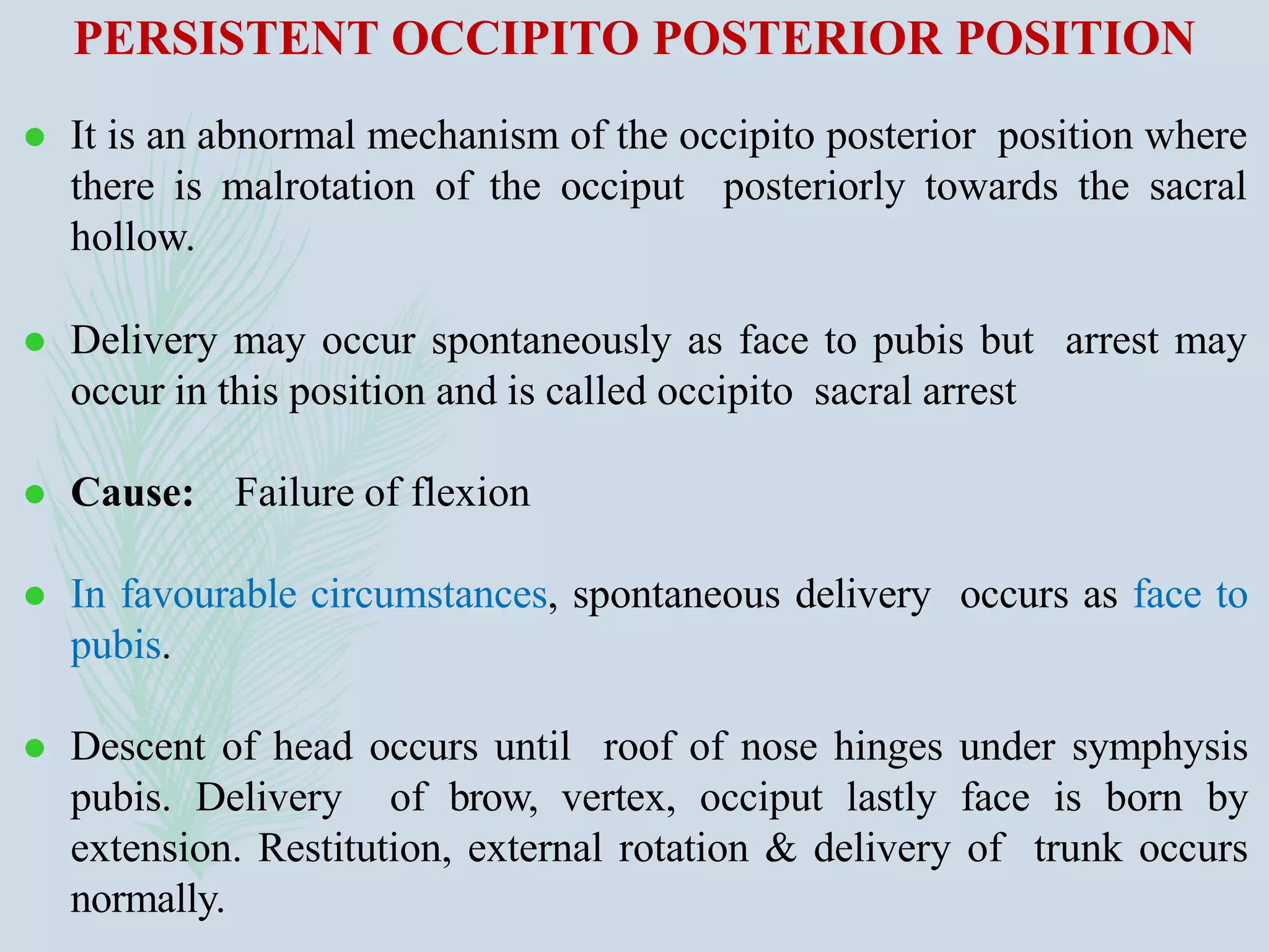 Occipito posterior position | PPTX