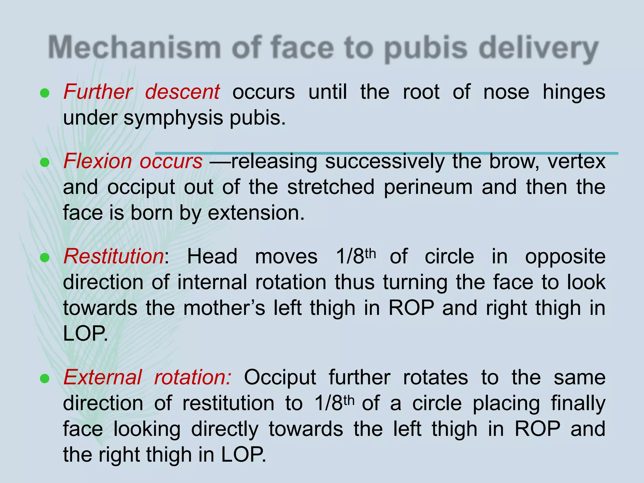 Occipito posterior position | PPTX