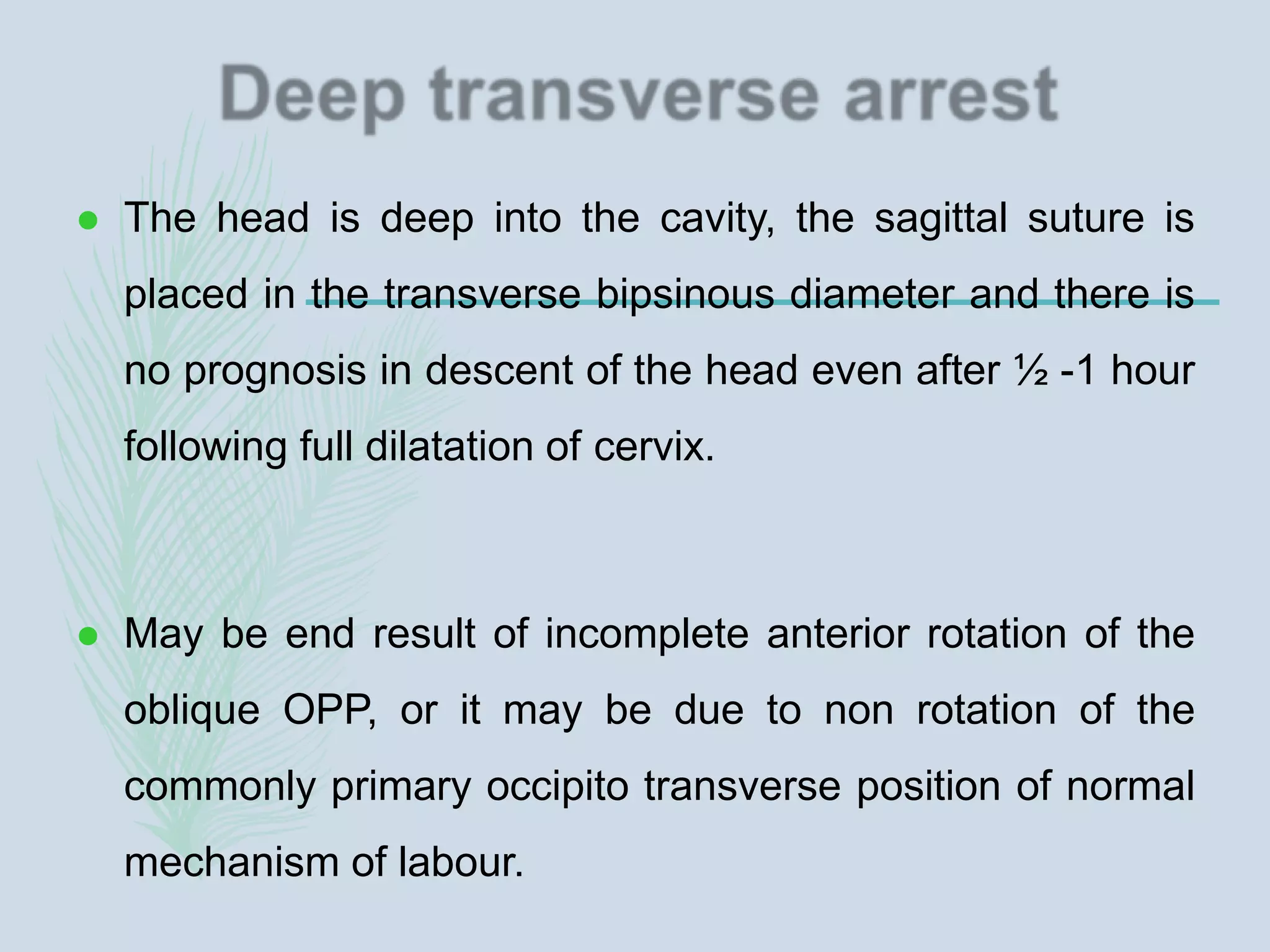 Occipito posterior position | PPTX