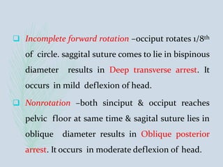 Occipito posterior position | PPTX