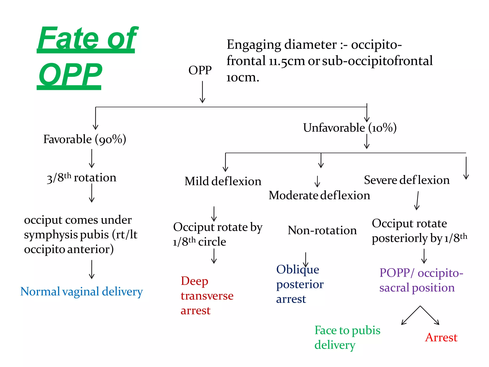 occipitoposteriorposition.pptx