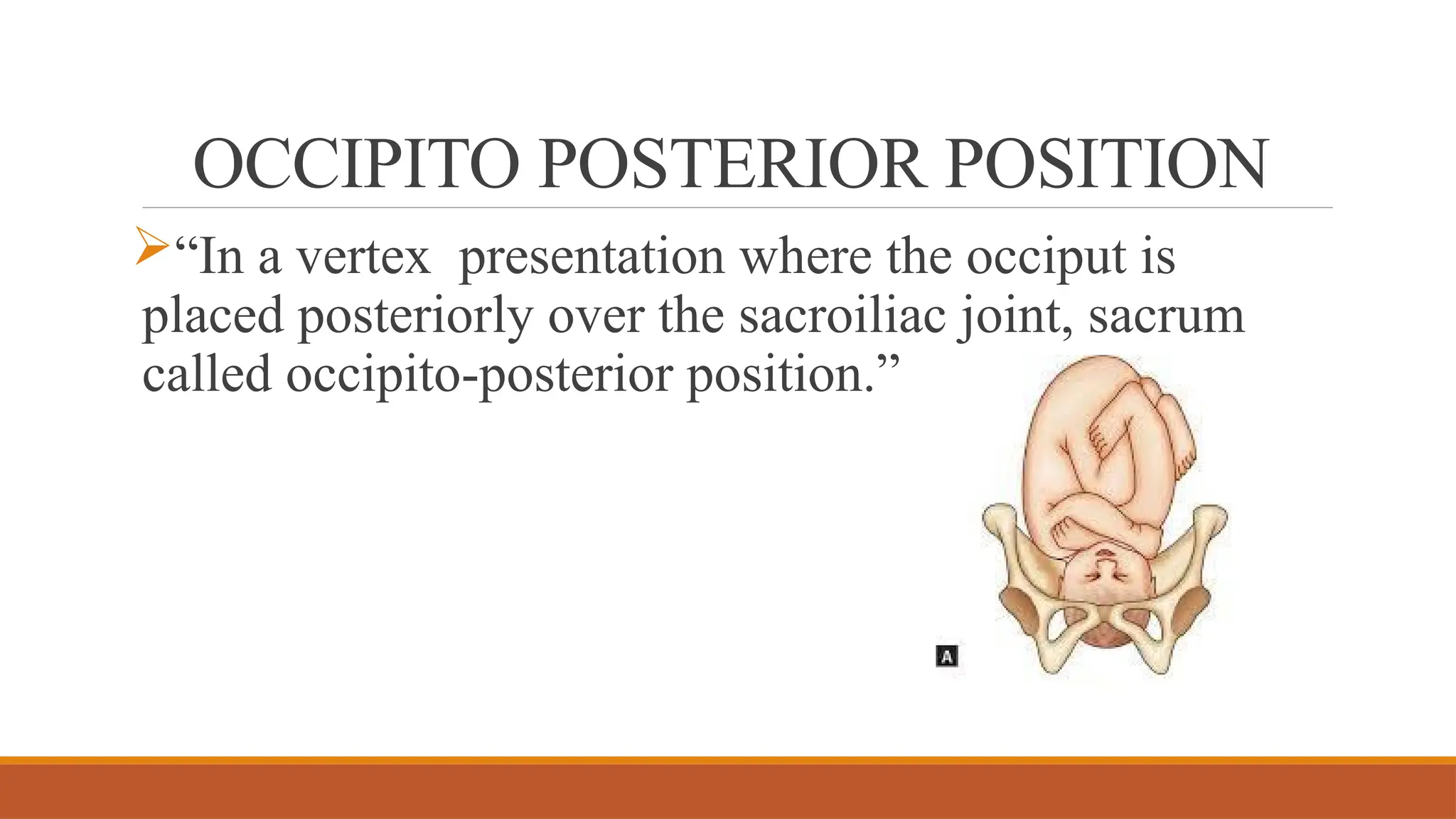 OCCIPITO POSTERIOR POSITION.pptx FOR NURSING STUDENTS CREATED BY KIRAN ...