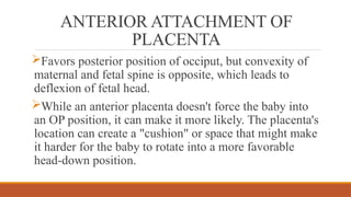 OCCIPITO POSTERIOR POSITION.pptx FOR NURSING STUDENTS CREATED BY KIRAN ...