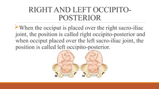OCCIPITO POSTERIOR POSITION.pptx FOR NURSING STUDENTS CREATED BY KIRAN ...