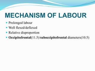 Occipitoposterior position | PPT