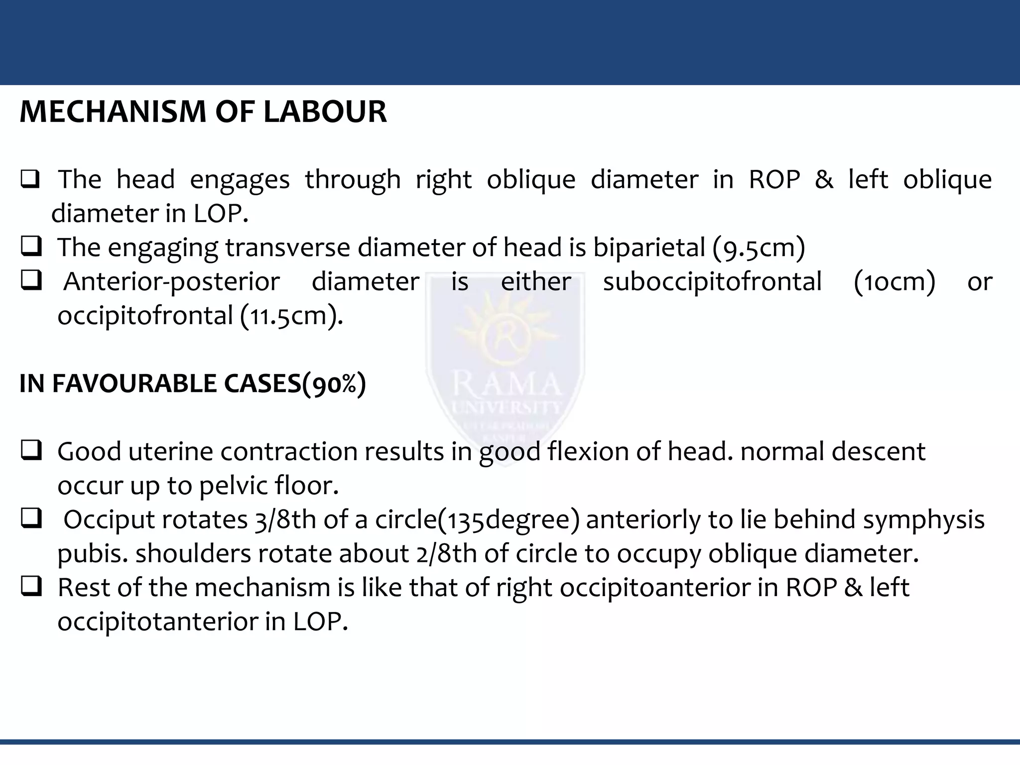 Occipito posterior position | PPT