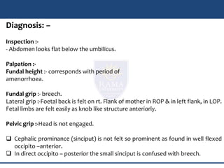 Occipito posterior position | PPT