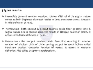 Occipito posterior position | PPT