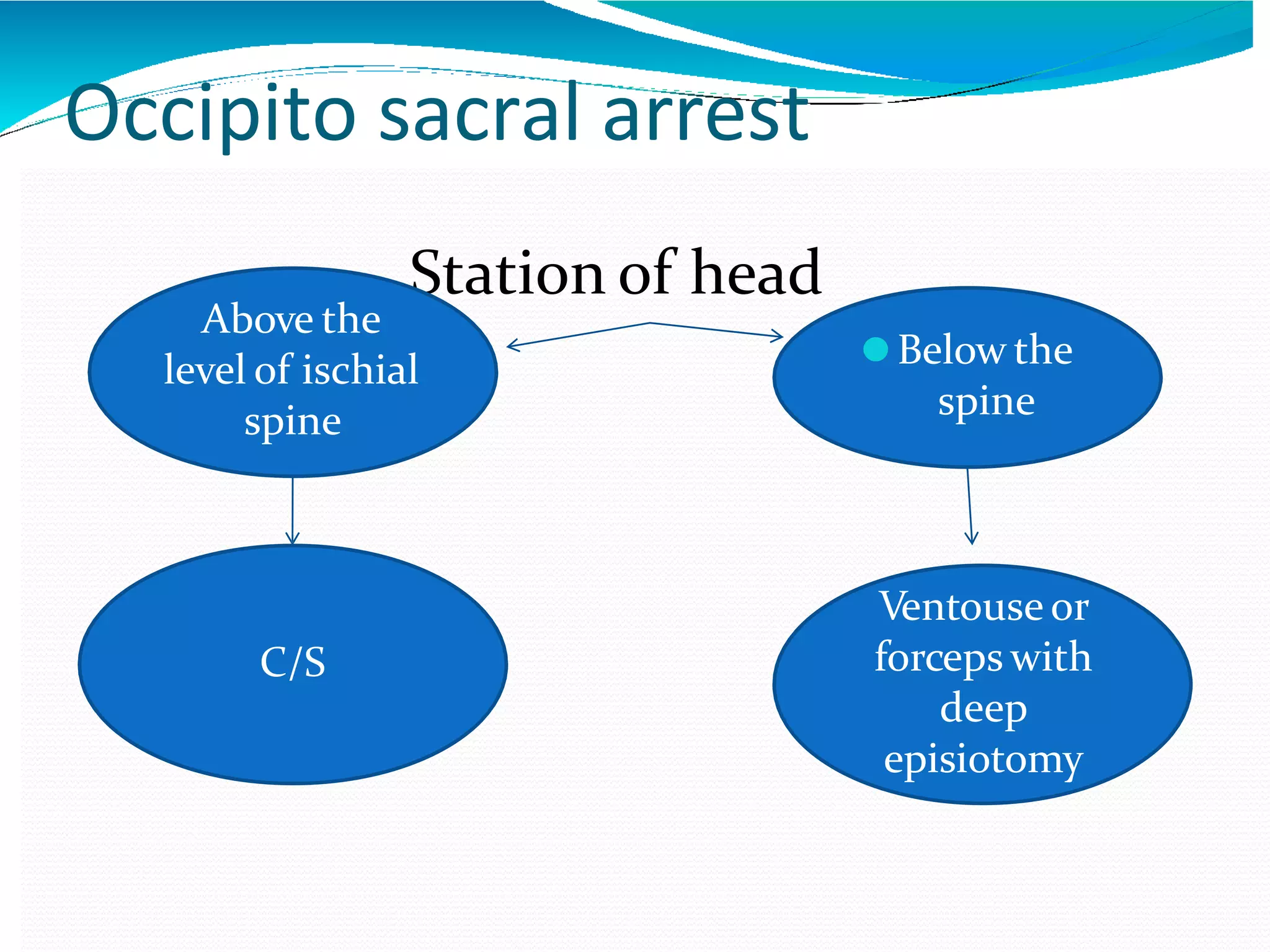 occipitoposteriorpositition-160811105500.pptx