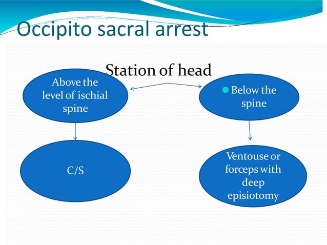 occipitoposteriorpositition-160811105500.pptx