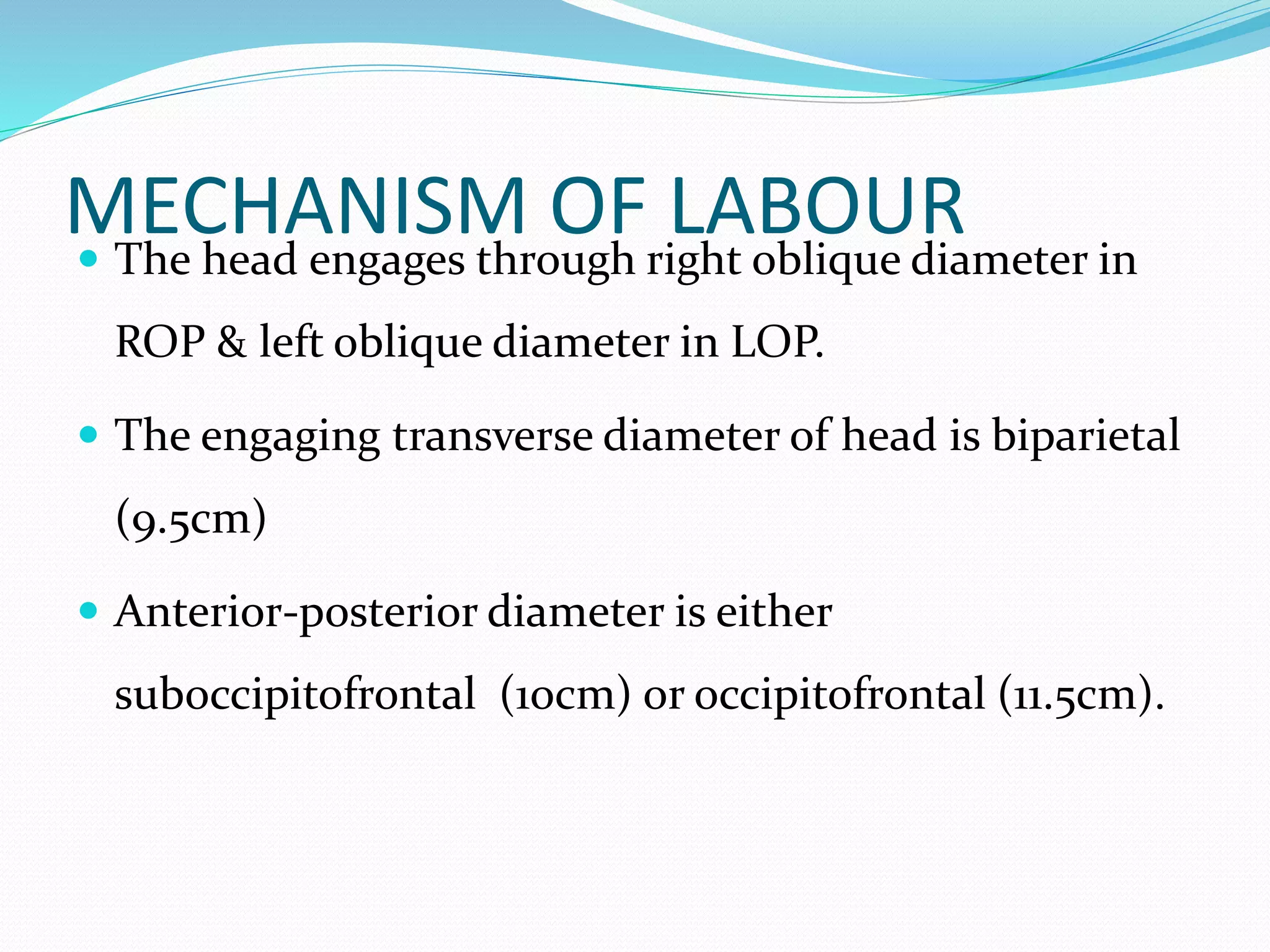 Occipito posterior positition | PPTX