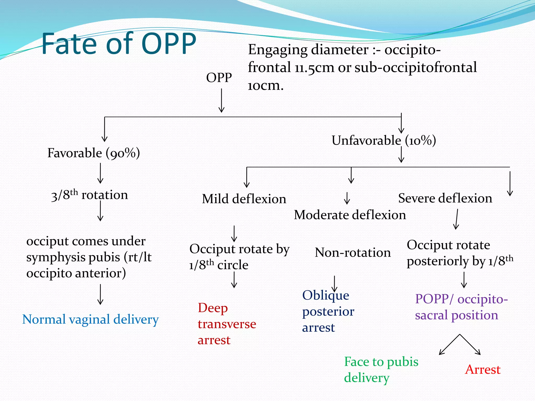Occipito posterior positition | PPTX