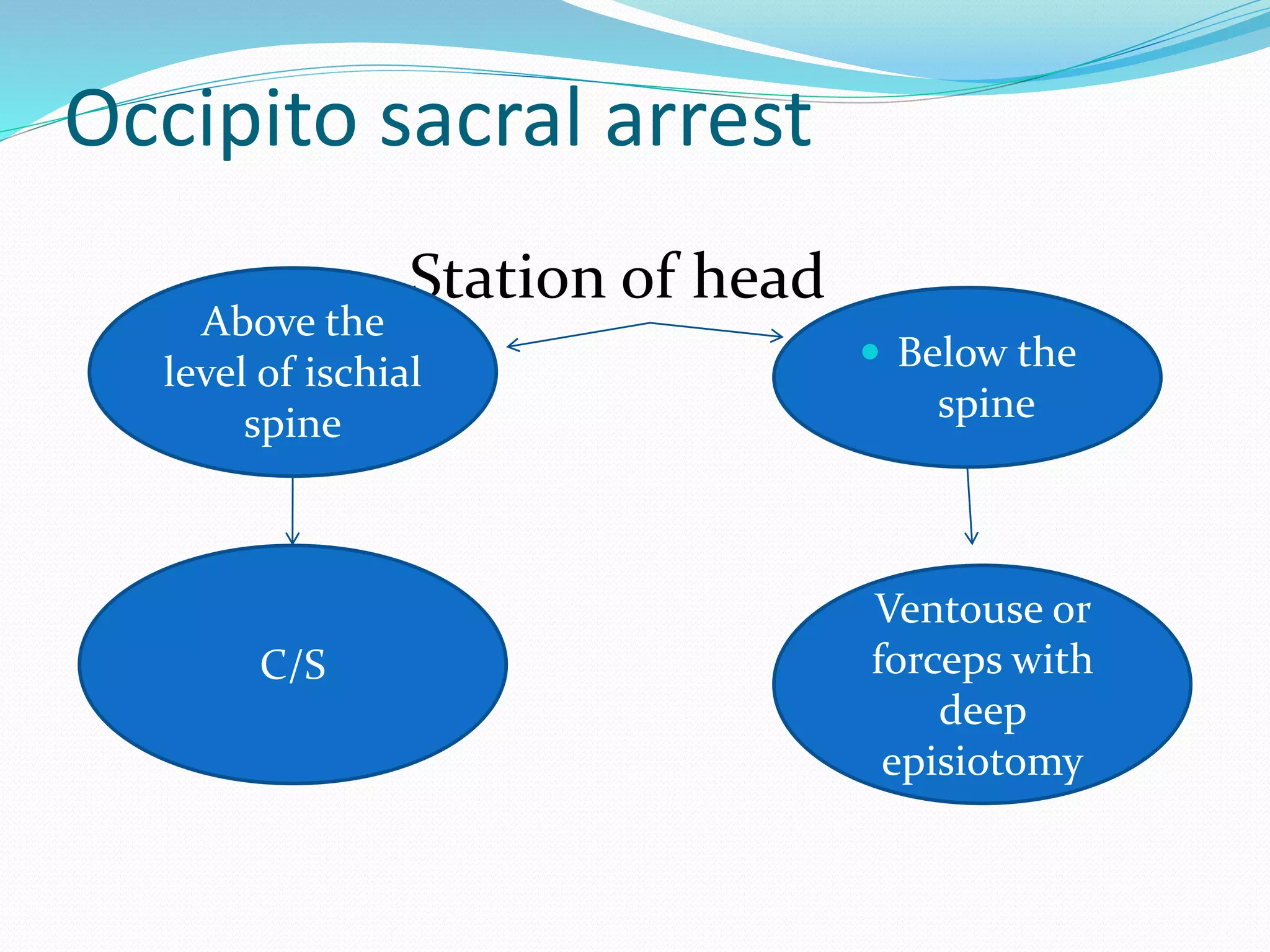Occipito posterior positition | PPTX