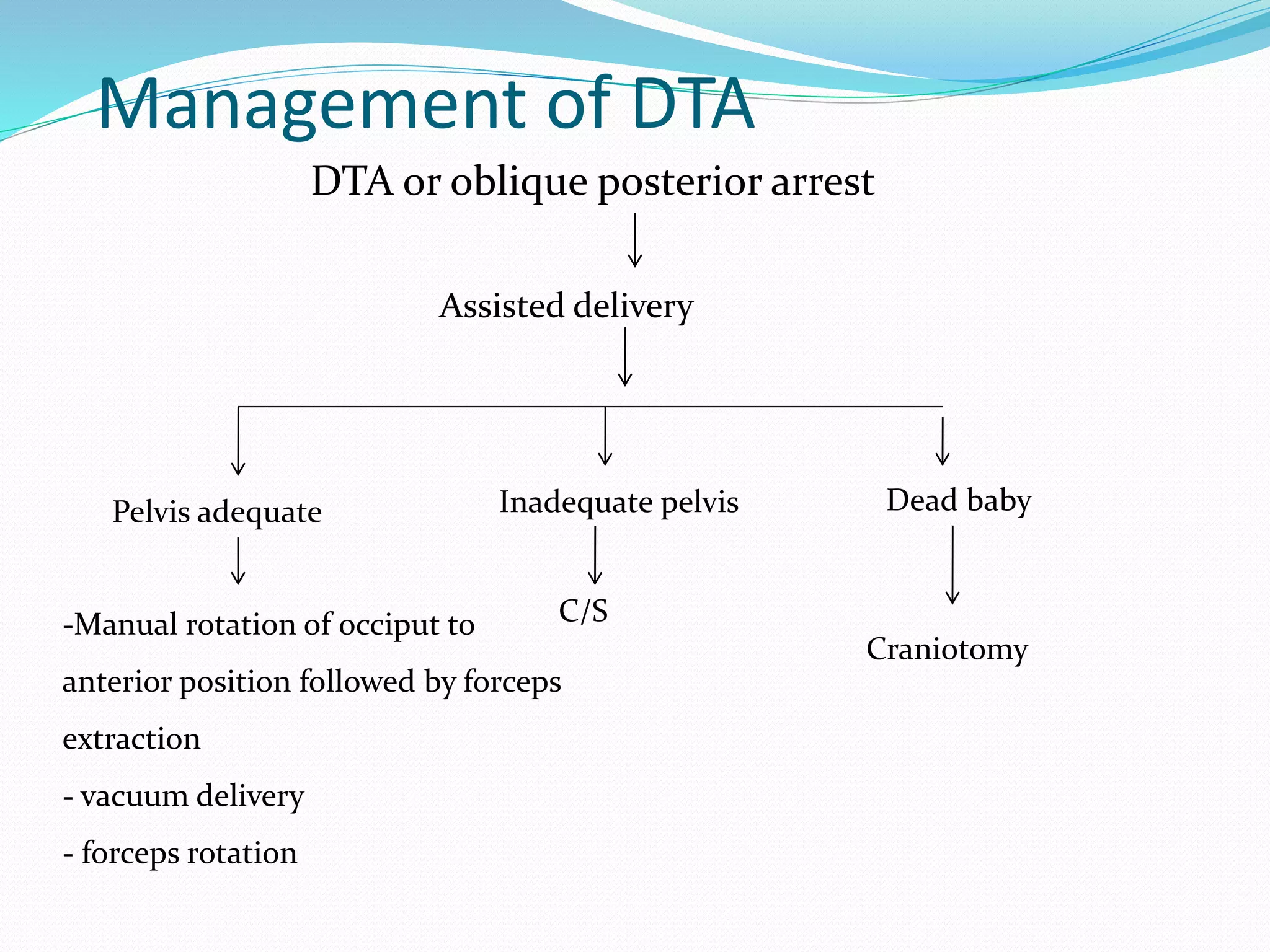Occipito posterior positition | PPTX