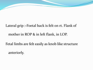 Occipito posterior positition | PPTX