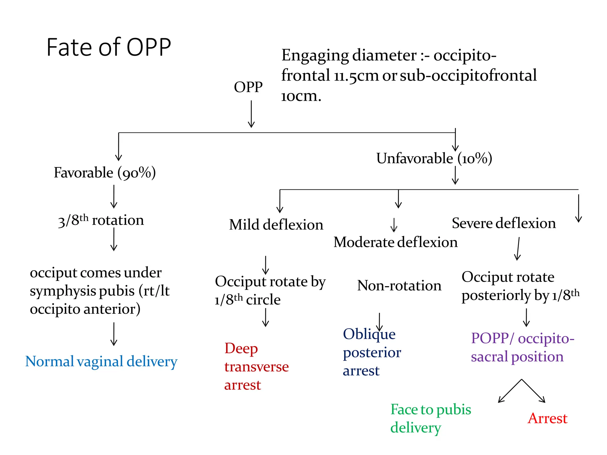 occipitoposteriorpositition management.pptx