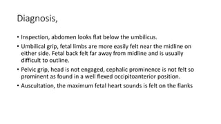 occiput posterior presentation.pptx