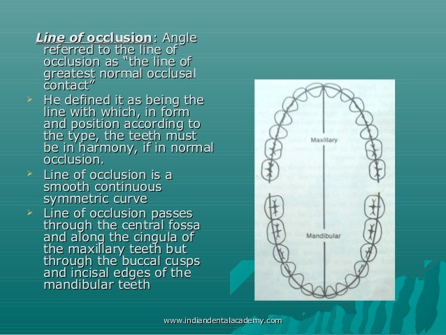 Occlusion concepts part 1 / dental courses