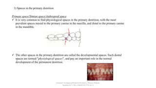 Occlusal guidance | PDF