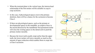 Occlusal guidance | PDF